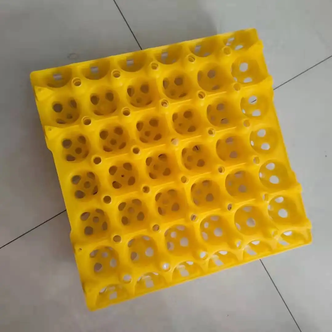 Egg Tray for Egg Transfer Cage - Durable Plastic Pallet