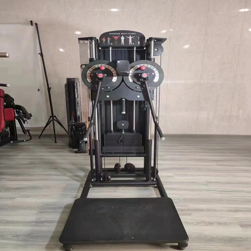 Durable Standing Lateral Raise Machine for Comprehensive Fitness ...