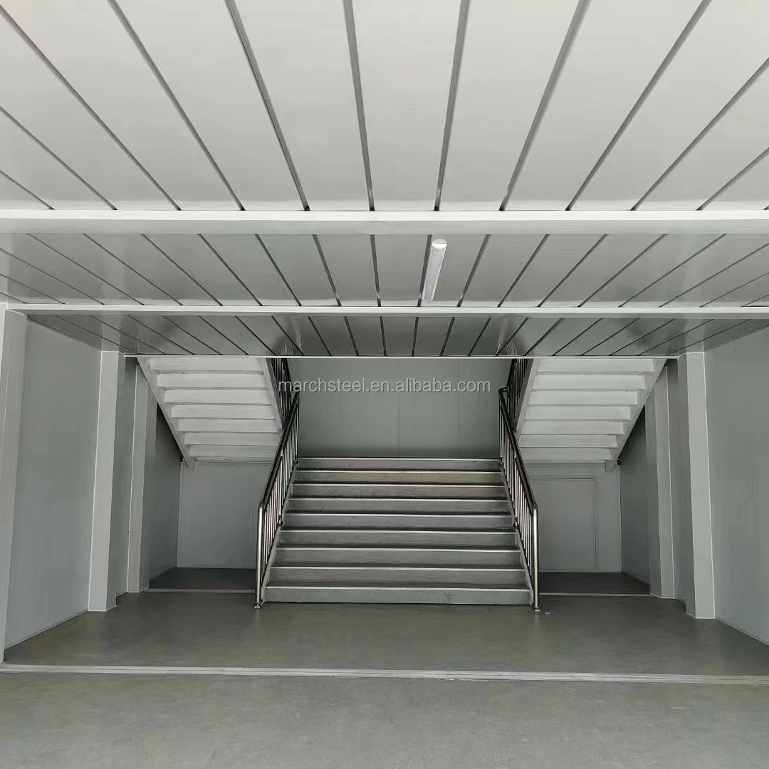 Customized Size and Color 20ft 40ft Flat Pack Living Homes Container House