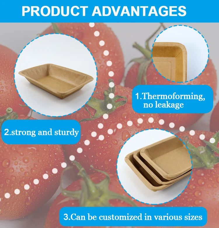 Takeaway Carry Out Paper Tray Fast Food Recycle Paper Tray ...