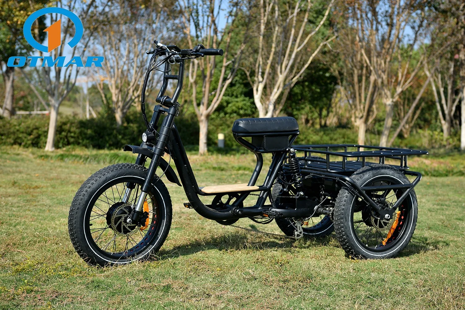 All Drive 3 Wheel Cargo Electric Tricycle High Power 2 Battery Full ...