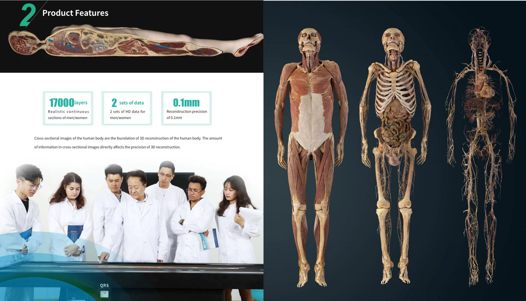 School Teaching System Digital Human Anatomy System Anatomage 3d Body Virtual Autopsy Table ...