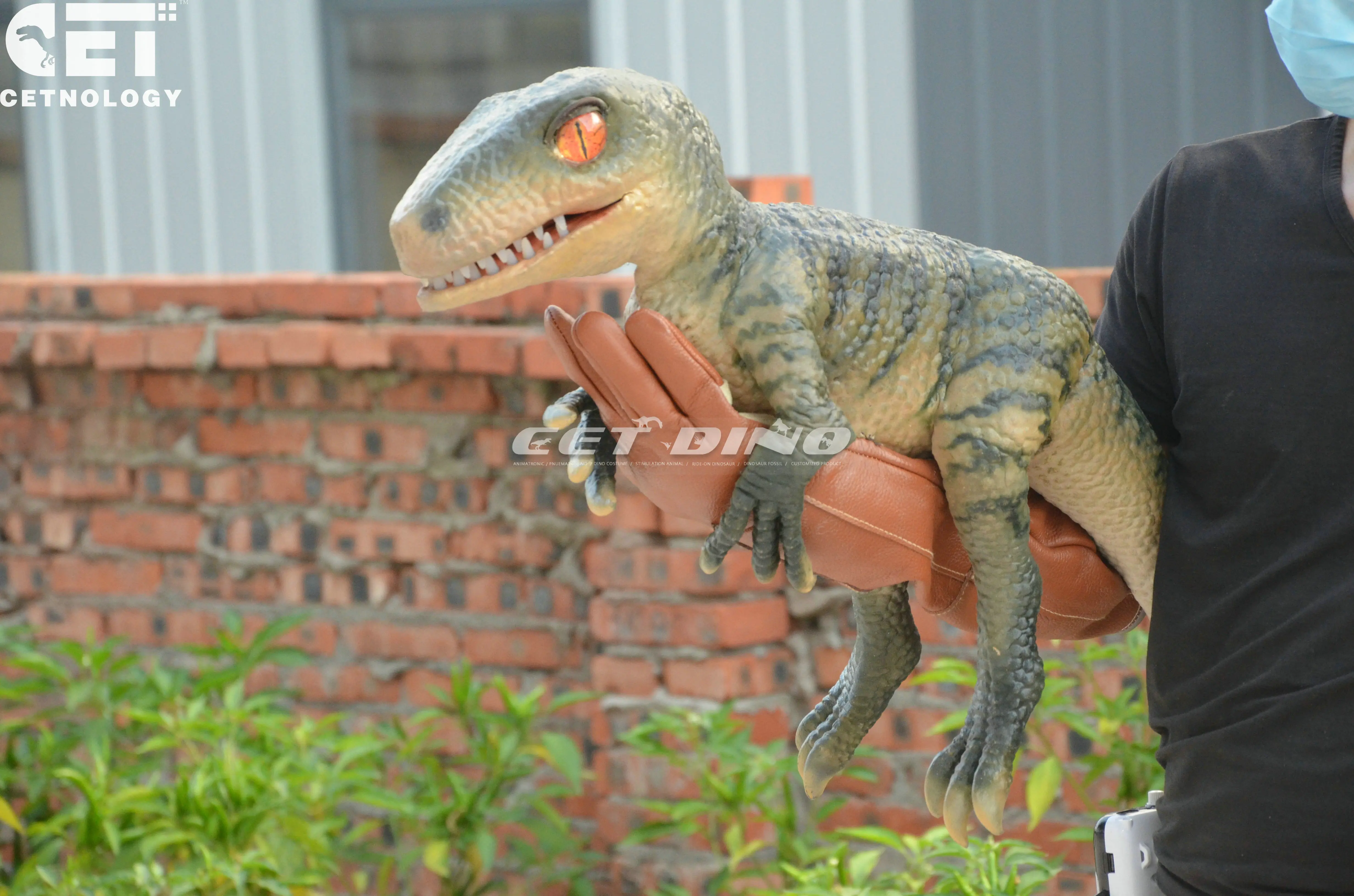 Dinosaur Hand Puppets 2022 Realistic Animatronic Dinosaur Baby Puppet ...