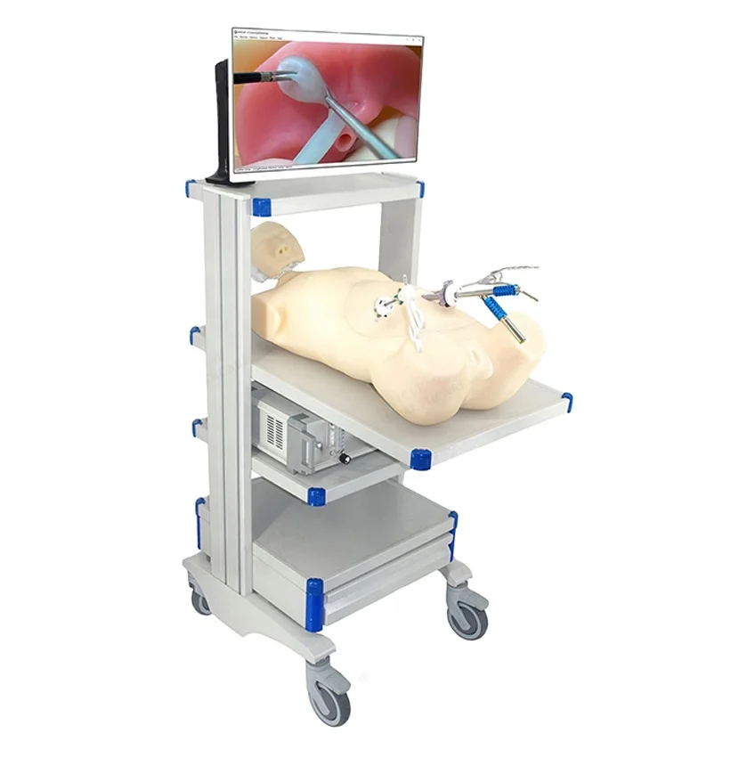 High Simulation Thoracoscopy, Laparoscopy, Hysteroscopy Integrated ...