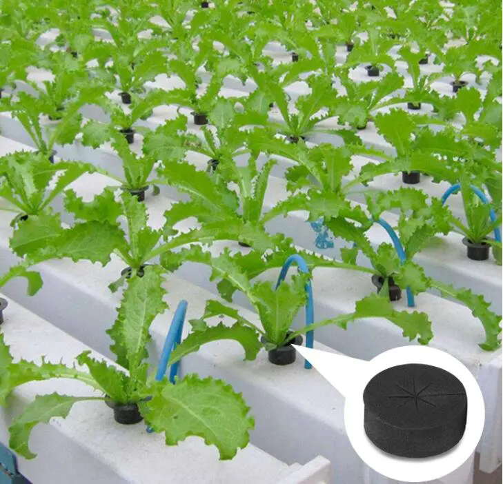 30 Pack 2" Black Clone Collars Advanced Spoke Design Premium Neoprene ...