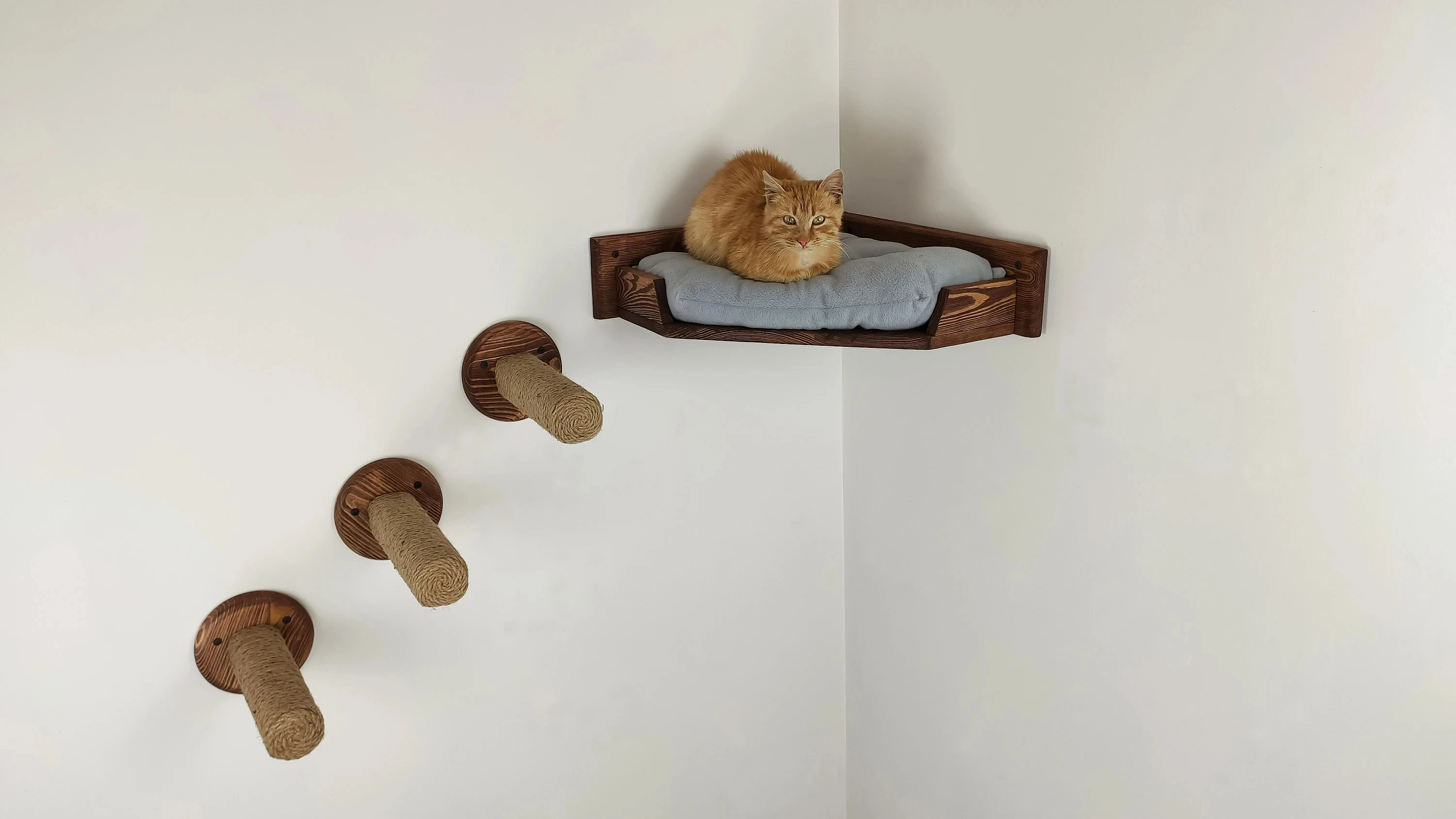Modern Cat Wall Hammock With Steps Mounted Cat Shelf For Perching And ...