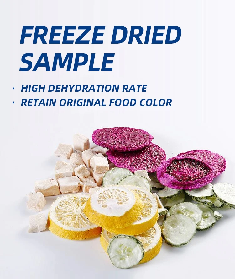 6kg Small Household Home Use Lyophilizer Vacuum Freeze Dryer Machine ...