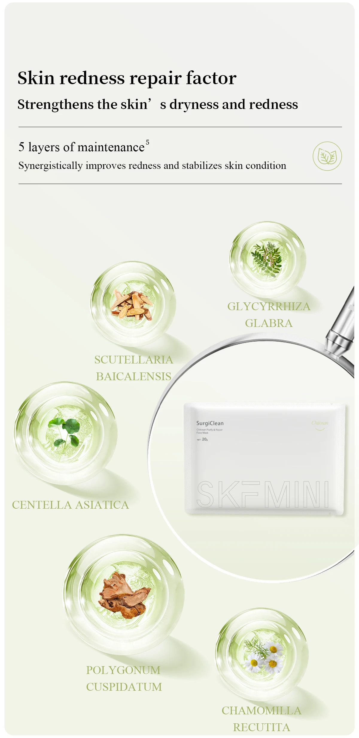 New Products Surgiclean Skin Chitosan Facial Mask20g*5 Masks For Skin ...