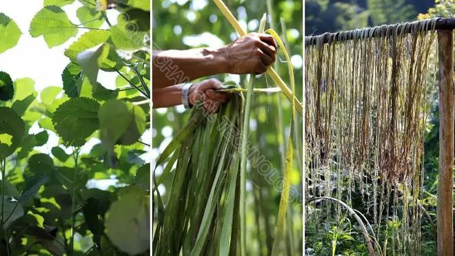 Kenaf Abaca Fiber Extractor Machine Peeling Jute Extracting Machine ...