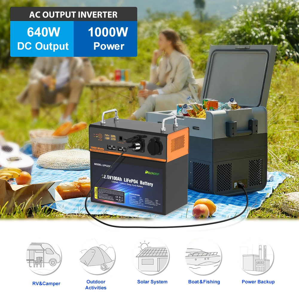 Delongtop 1000w Portable Lithium Lifepo4 Power Bank 12.8v 100ah Battery ...