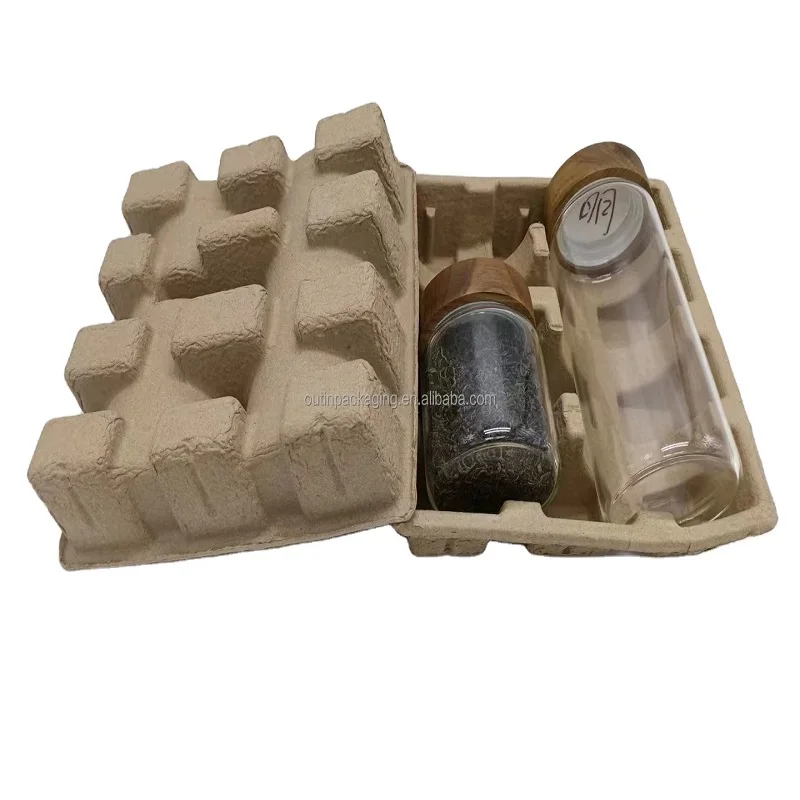 Biodegradable Eco Friendly Mold Packaging Paper Pulp Tray