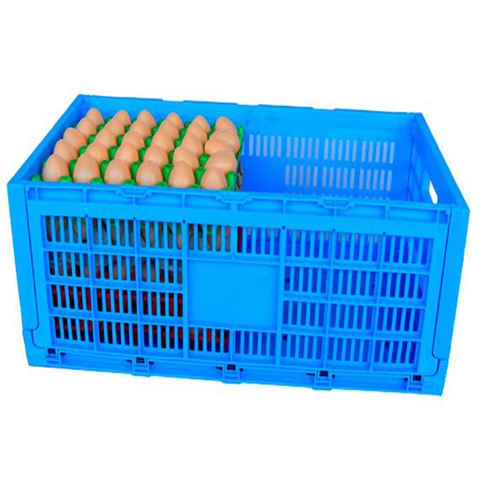 JOIN Plastic Egg Storage Crate - Vented & Collapsible