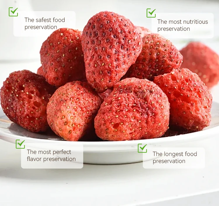 20kg Vacuum Freeze Dryer Machine - Efficient Food Preservation