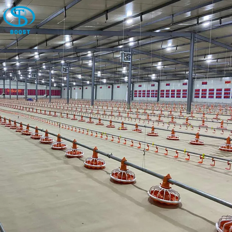 Feeders Broiler automatic Chicken Auger Feed System For Poultry Farm ...