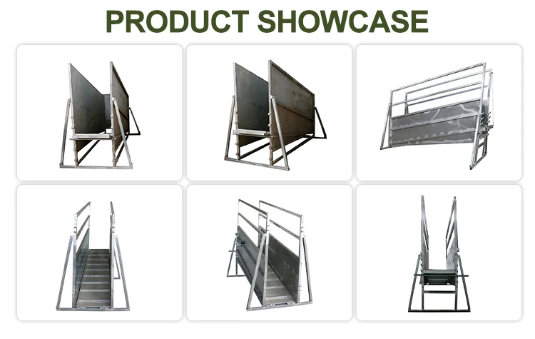 Cattle Handing Equipment Plans Adjustable Cattle Loading Ramp For ...