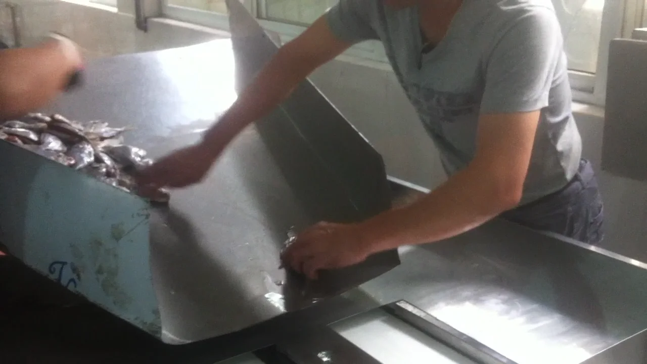 Hot Sale Fish Grading Machine Tilapia Graders Fish Sorting Machine ...