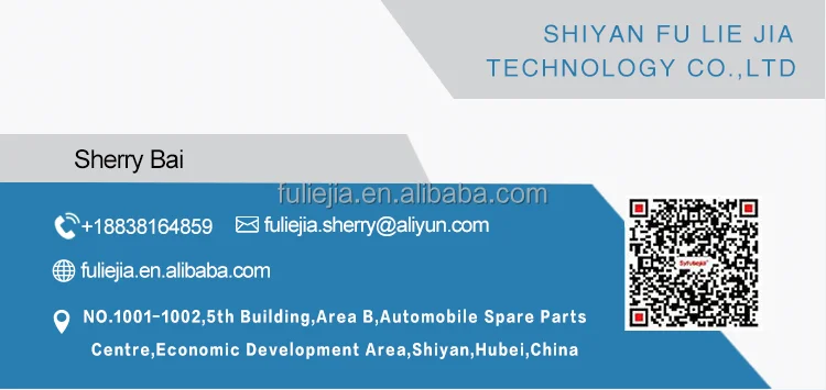 SyFuliejia Truck Diesel Engine Oil Filter 53C0715 P551045 3776969 for ...