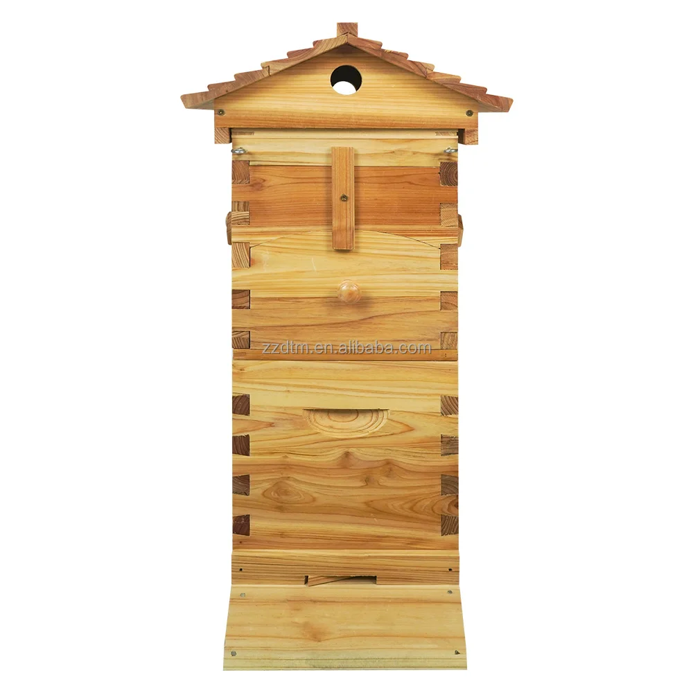 Piculture Complete Auto Beehive Starter Mini Auto Flowing Honey Hive ...