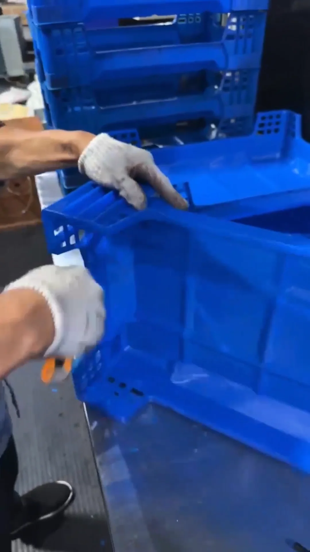 Black Soldier Fly Larvae Farming Plastic Insect Breeding Tray For ...