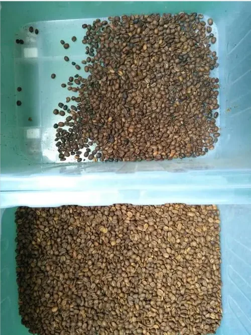 7 Channel Intelligent Coffee Bean Sorting Machine Rice Soybean Seed ...