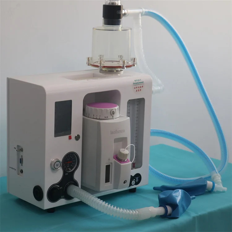 Portable Veterinary Anesthesia Machine With Lcd Monitor From Factory ...