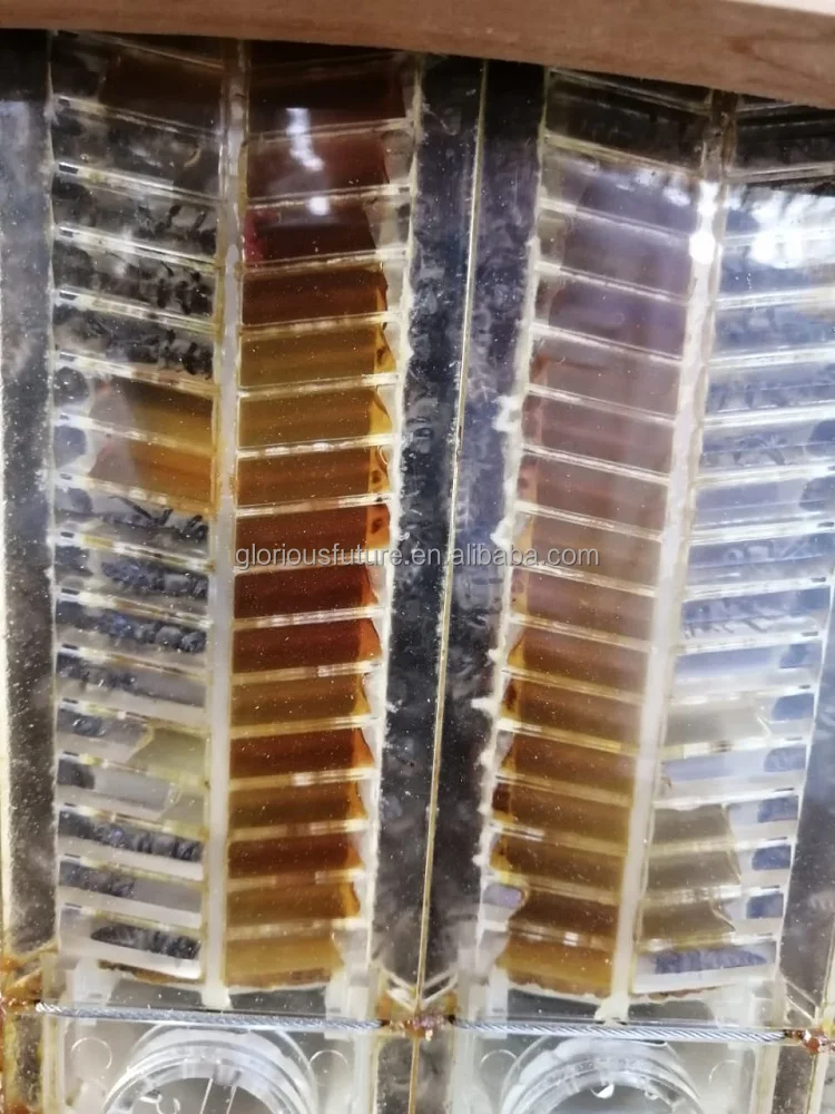 Beekeeping Auto Bee Hive Frames Kit Flowing Self 7pcs Automatic Honey ...