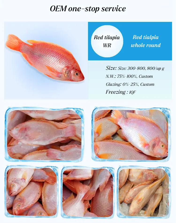 Seafood Fresh Frozen Red Tilapia Fish - Nutritious & Low-fat