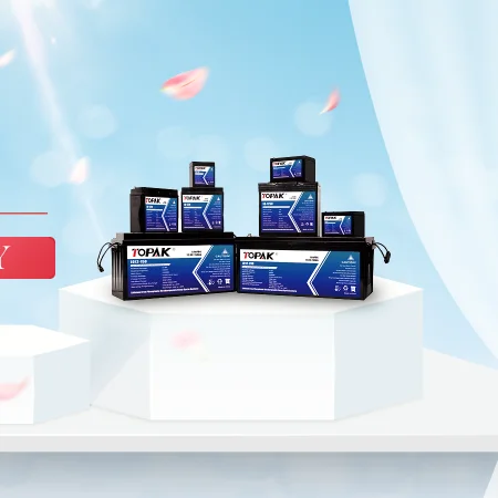 TOPAK Energy Storage Battery 12V 20ah 36ah 50ah 100ah 200ah Product ...
