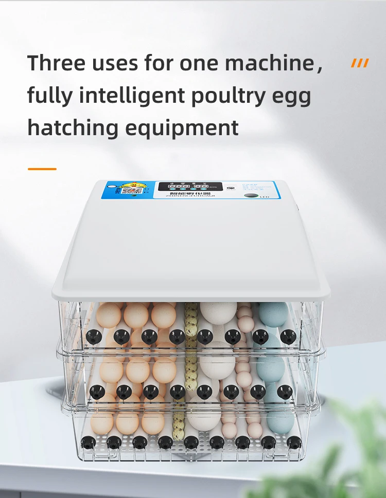 12 Volt Battery Incubator - Intelligent 36 Egg Hatcher