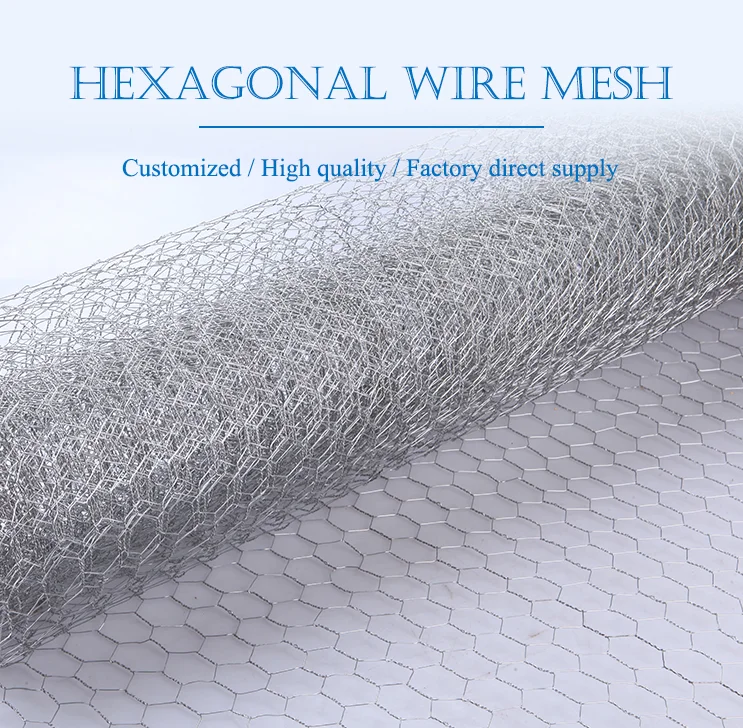 Galvanized Poultry Wire Mesh - Hexagonal Iron Net Fish Pot Wire