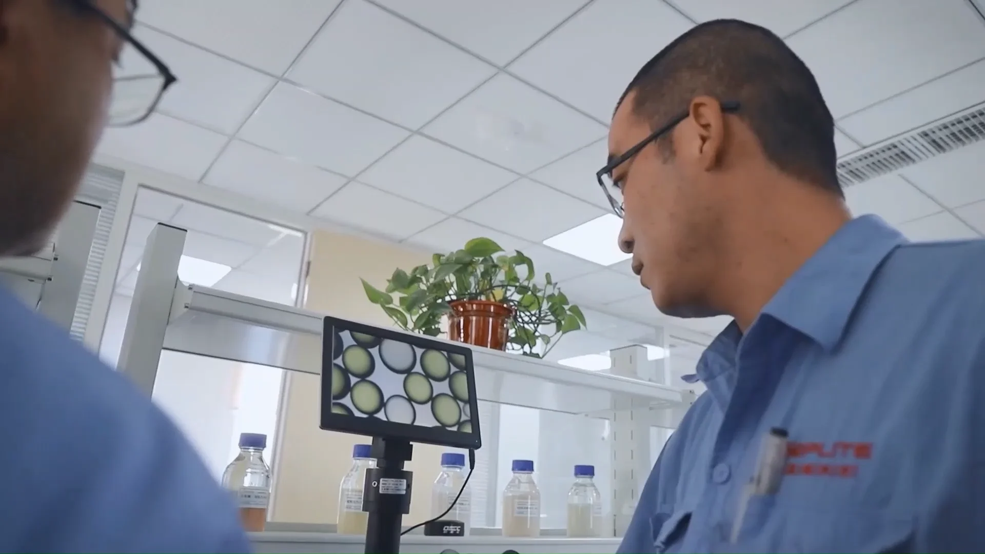 Dextran Gel Filtration Chromatography Equal To Sephadex G25 - Buy ...