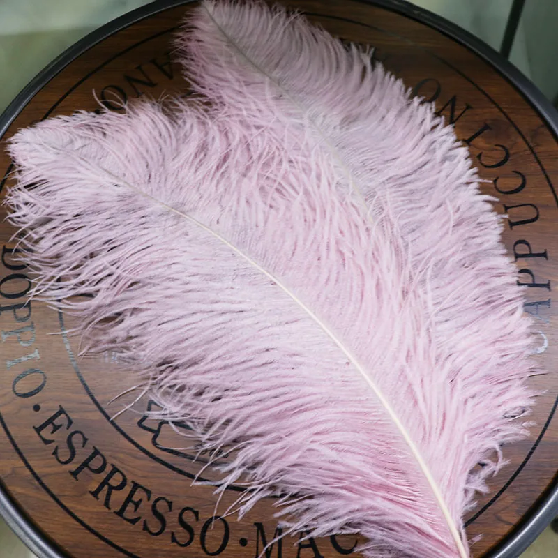 Wholesale Feather Crafts Supplier - Natural Ostrich Feathers
