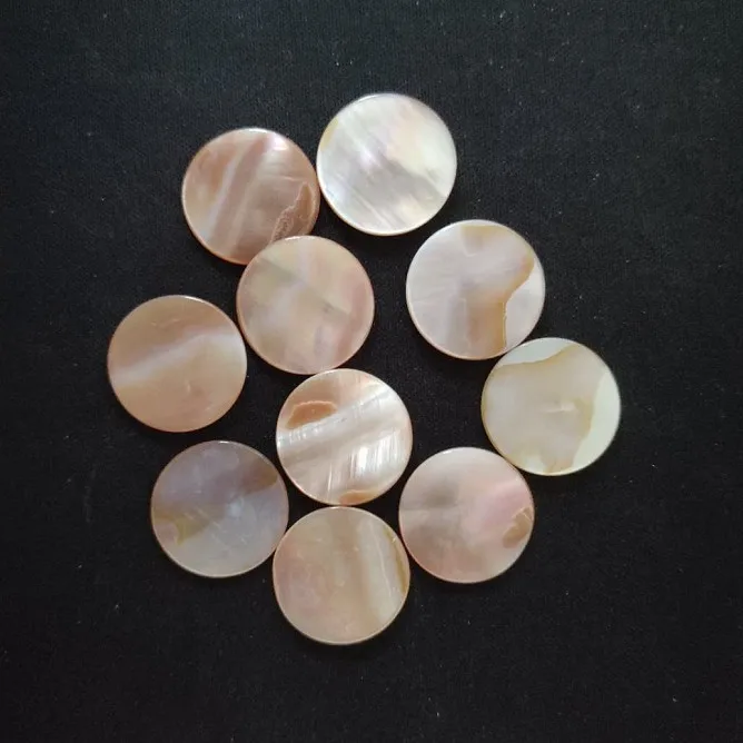 Luxury Whitelip MOP Seashell Polished Slice for Decorations