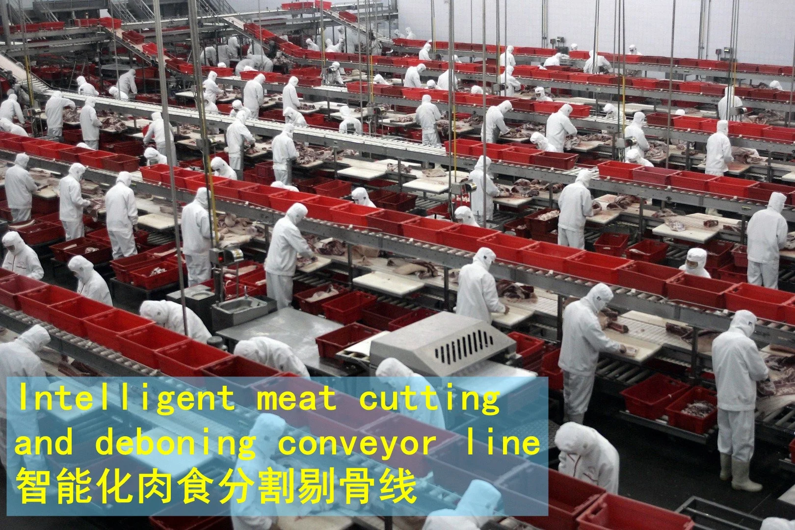 Sheep Slaughter Line Meat Cutting Deboning Production Conveyor Line ...