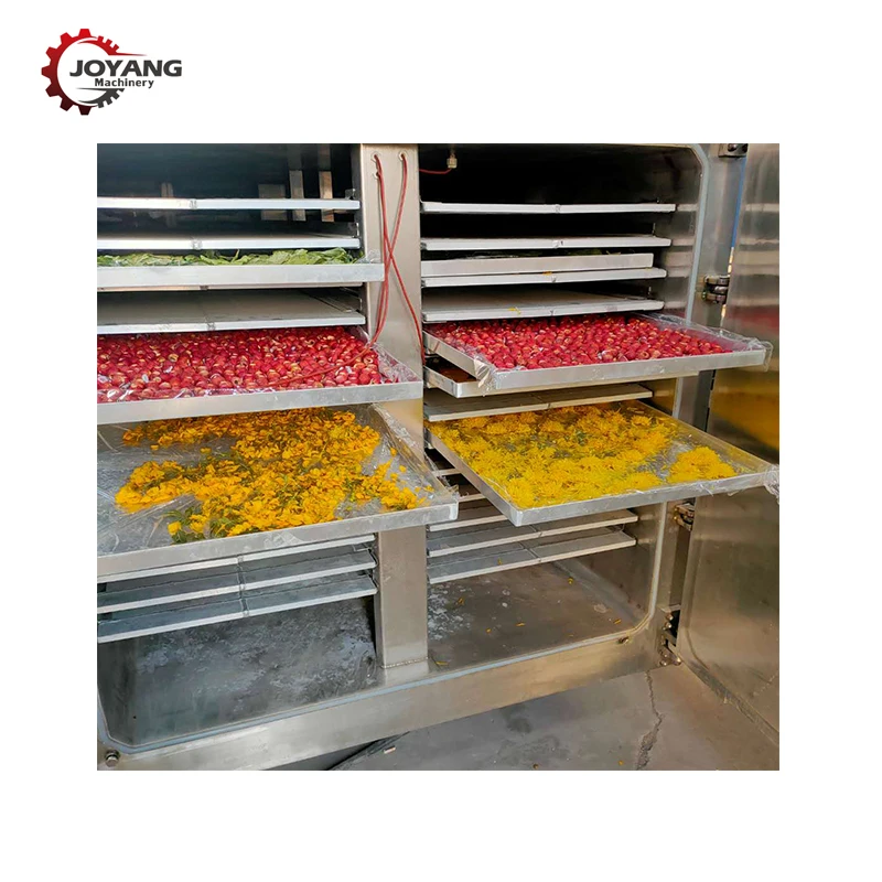 10 Square Meter Meat Vegetable Freeze Drying Machine Sublimation Freeze ...