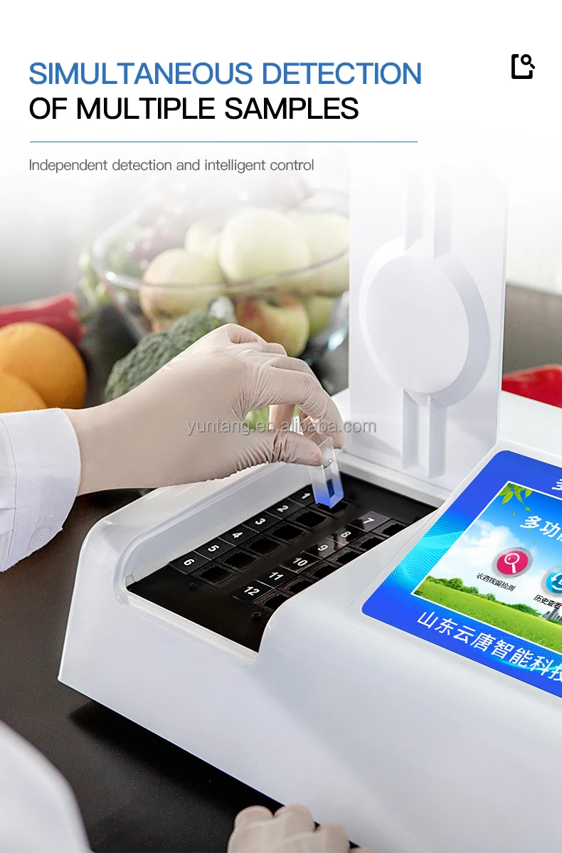 A Portable Detector To Detect Formaldehyde In Meat,Fish,Fruits And ...