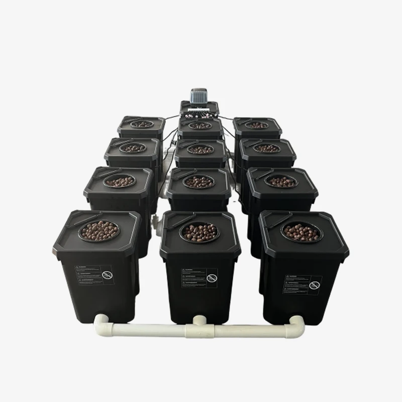 6gallon 12 Buckets Recirculating Hydroponic System Rdwc Hydroponic ...