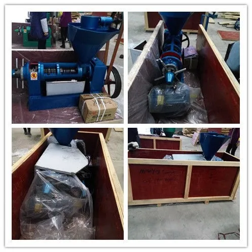 Sacha Inchi Oil Extracting Machine Cooking Oil Manufacturing Machine ...