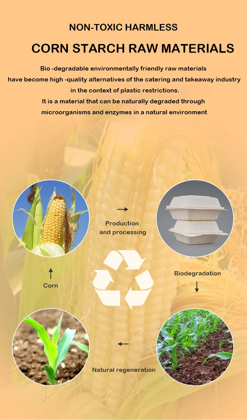 700ml Corn Starch Microwave Safe Biodegradable Disposable Lunch Bento ...