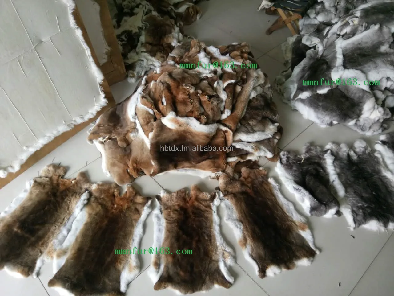 Rex Rabbit Fur Skins,Rex Rabbit Fur Plates,Rex Rabbit Fur Collars,Rex ...