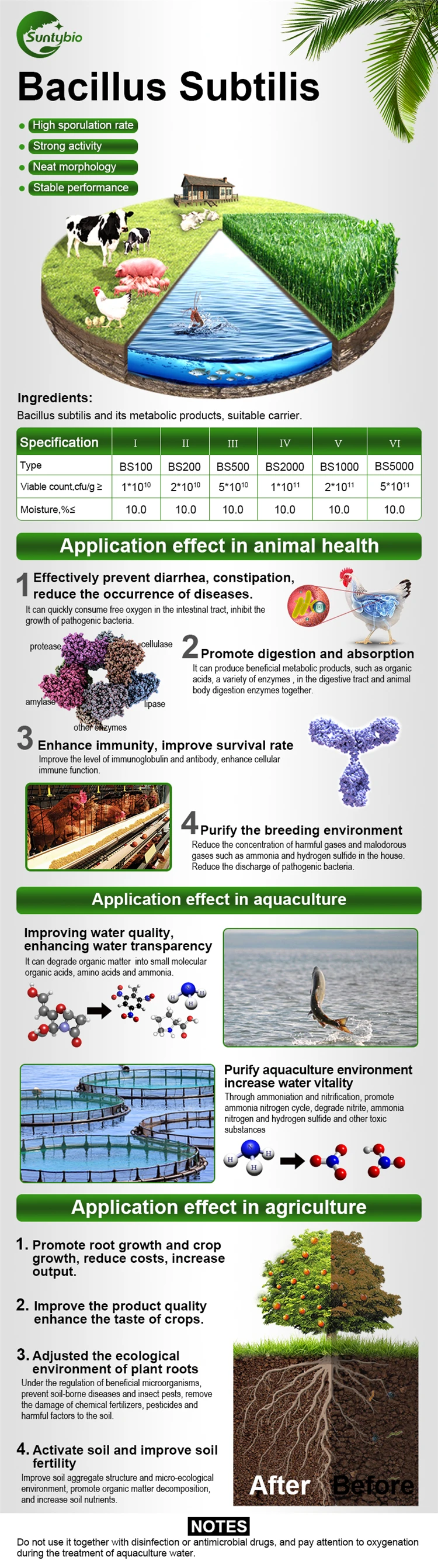 Probiotic Bacillus Subtilis for Shrimp & Water Treatment