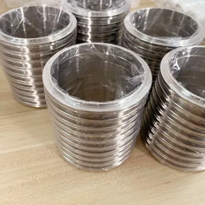 Stainless Steel ISO63 ISO80 ISO100 Centering Ring Sealing Ring