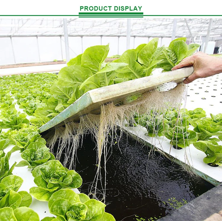 Omana 120x60cm Xps Floating Rice Planting Board Dwc Floating Hydroponic ...