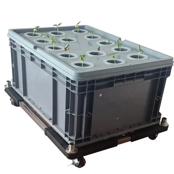 Hydroponic Planting System Low Cost Hydroponic Deep Water Culture ...