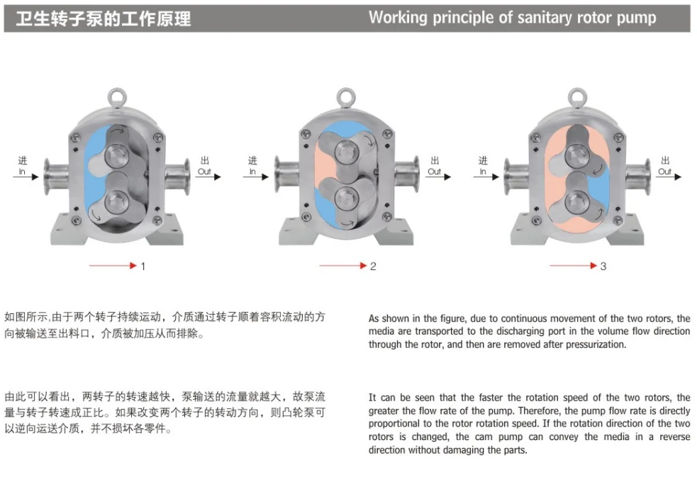Stainless Steel Sanitary Rotor Pump - High Viscosity Liquid Transfer
