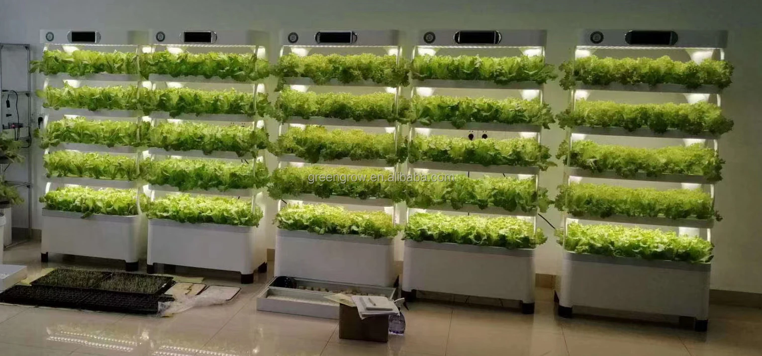 5-layer Hydroponic Planting System Indoor Home Hydroponic Growing ...