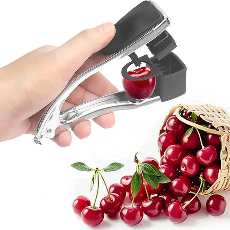 Multi-Function Fruit Pitting and Dicing Cherry Pitter Remover Cherry ...