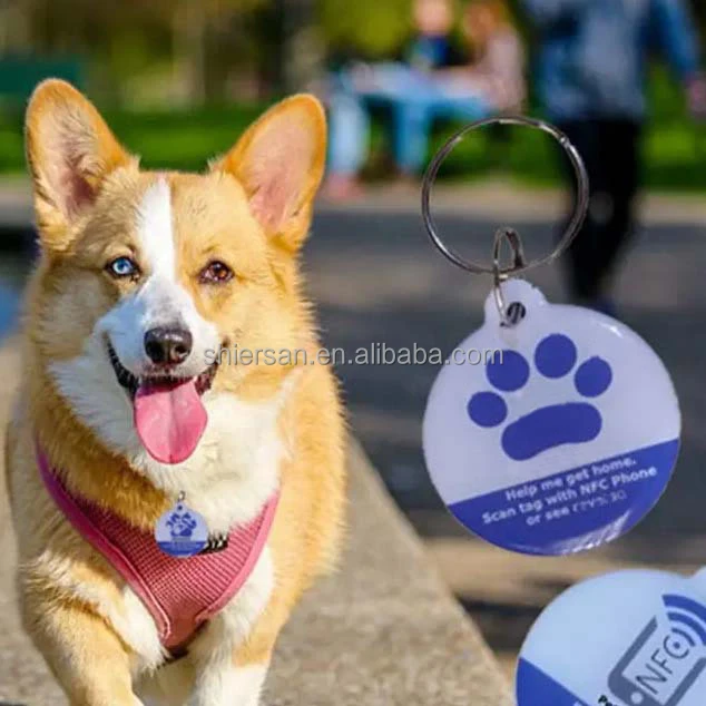 Epoxy Resin Qr Code Dog Id Tags,Nfc Pet Id Tag For Dog Tracking Anti ... Epoxy Resin Qr Code Dog Id Tags,Nfc Pet Id Tag For Dog Tracking Anti ...