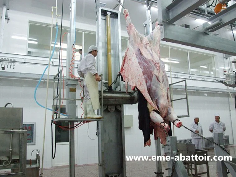 Cattle Abattoir Machine - Efficient Beef Slaughtering Equipment
