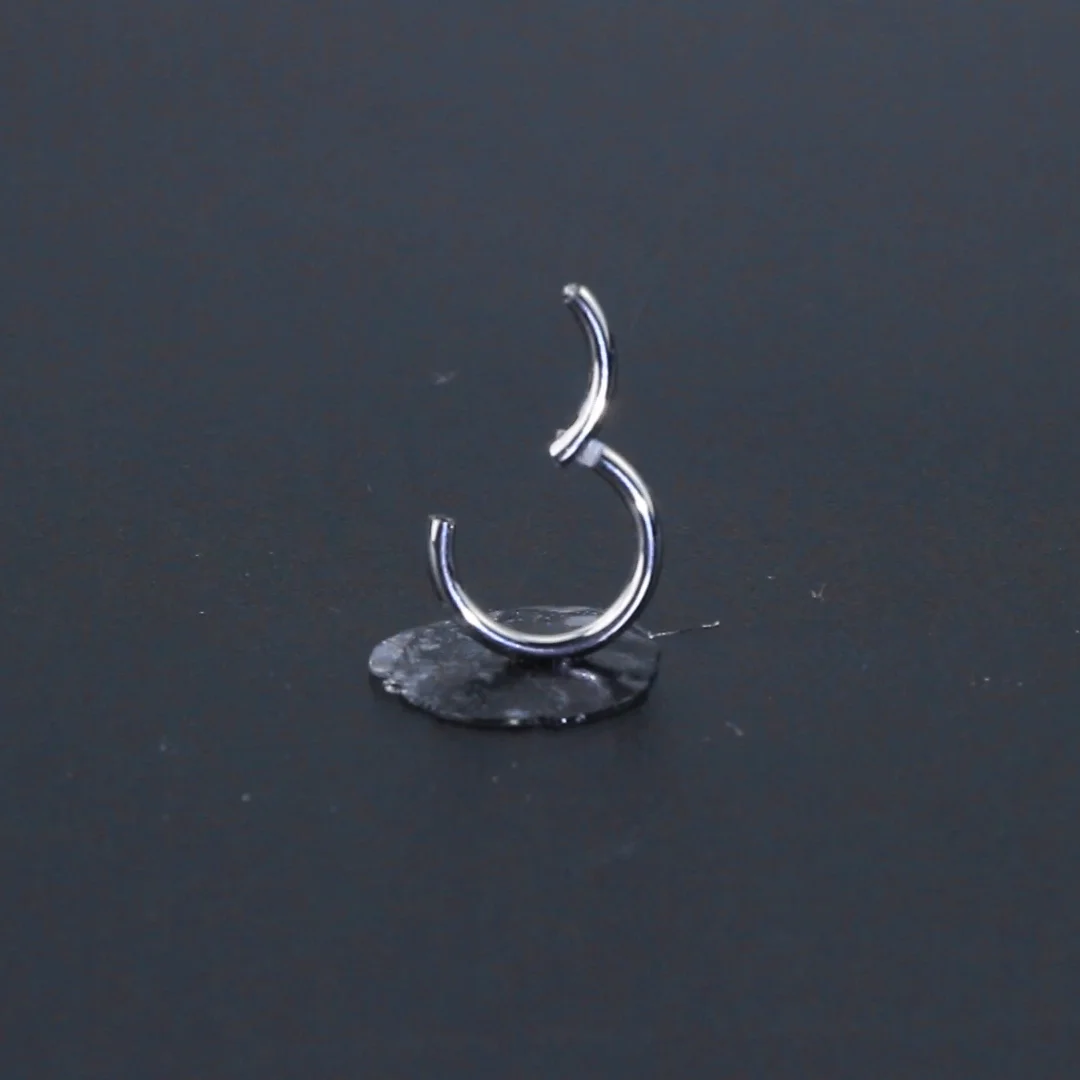 2023 Toposh G23 Solid Titanium Hypoallergenic Hinged Seamless Clicker ...